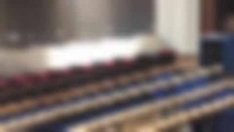 Stick inspector - Renholmen